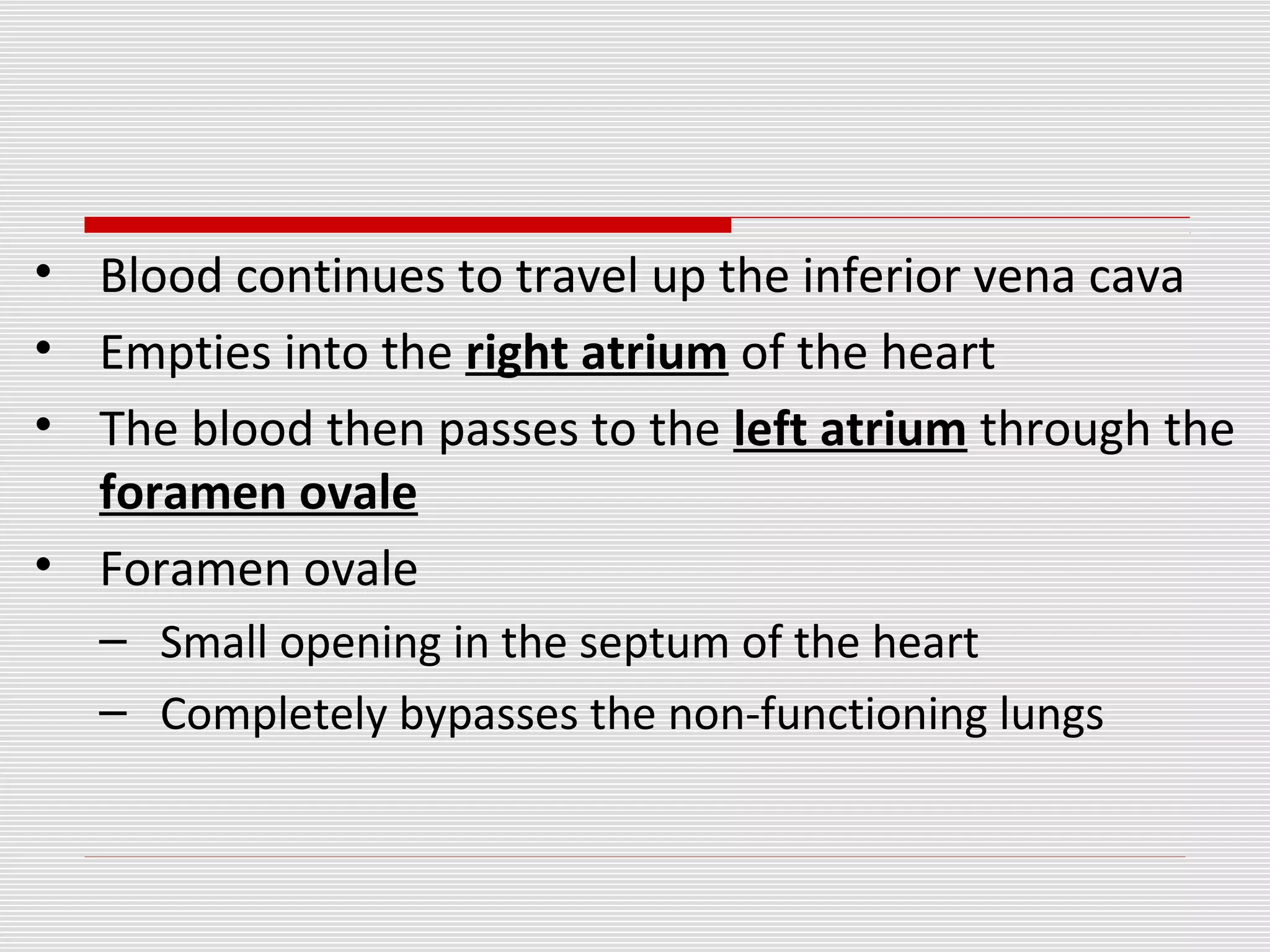 Fetal heart circulation | PPT