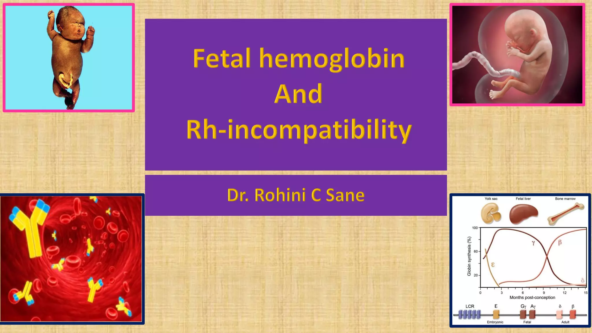Fetal hemoglobin and rh incompatibility | PDF