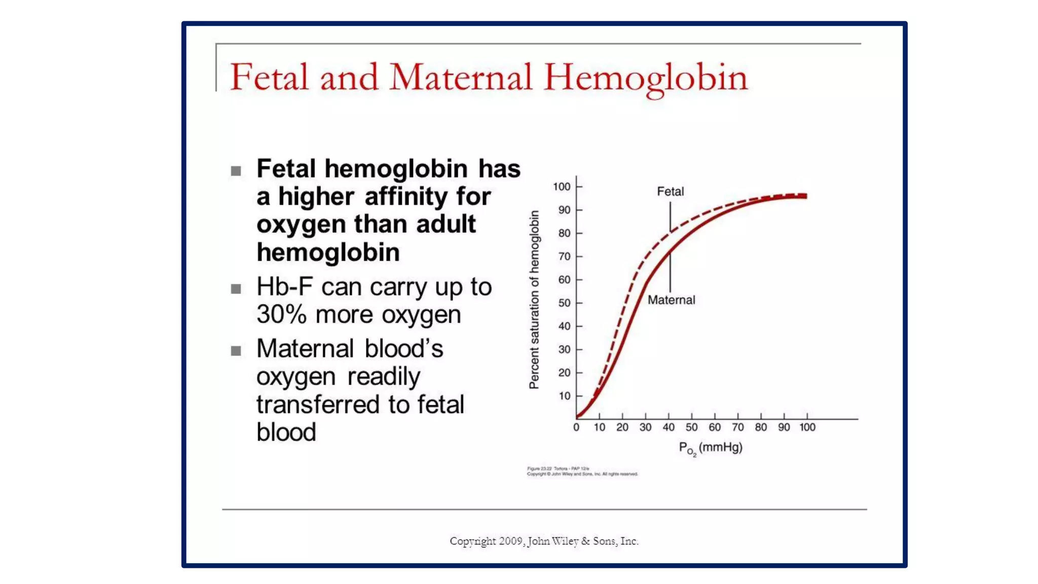 Fetal hemoglobin and rh incompatibility | PDF