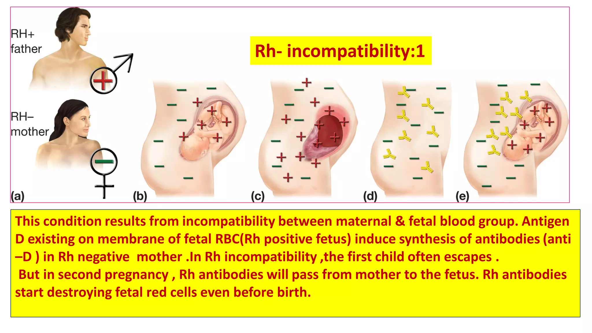 Fetal hemoglobin and rh incompatibility | PDF