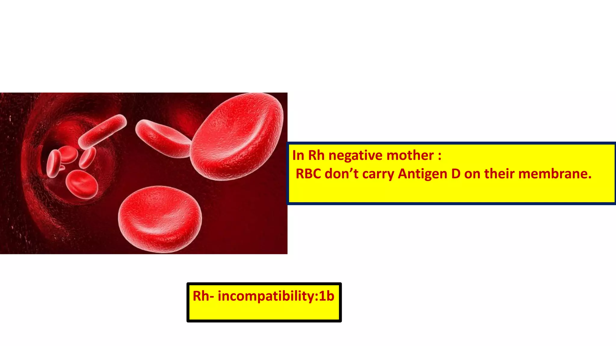 Fetal hemoglobin and rh incompatibility | PDF