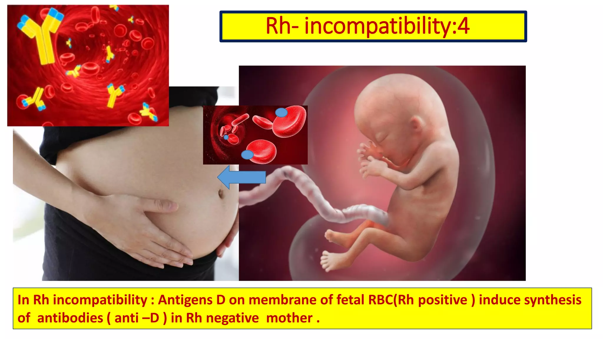 Fetal hemoglobin and rh incompatibility | PDF