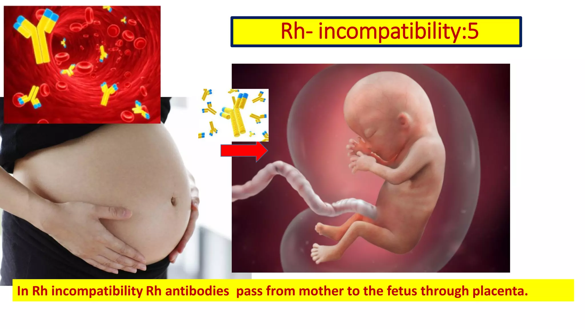 Fetal hemoglobin and rh incompatibility | PDF