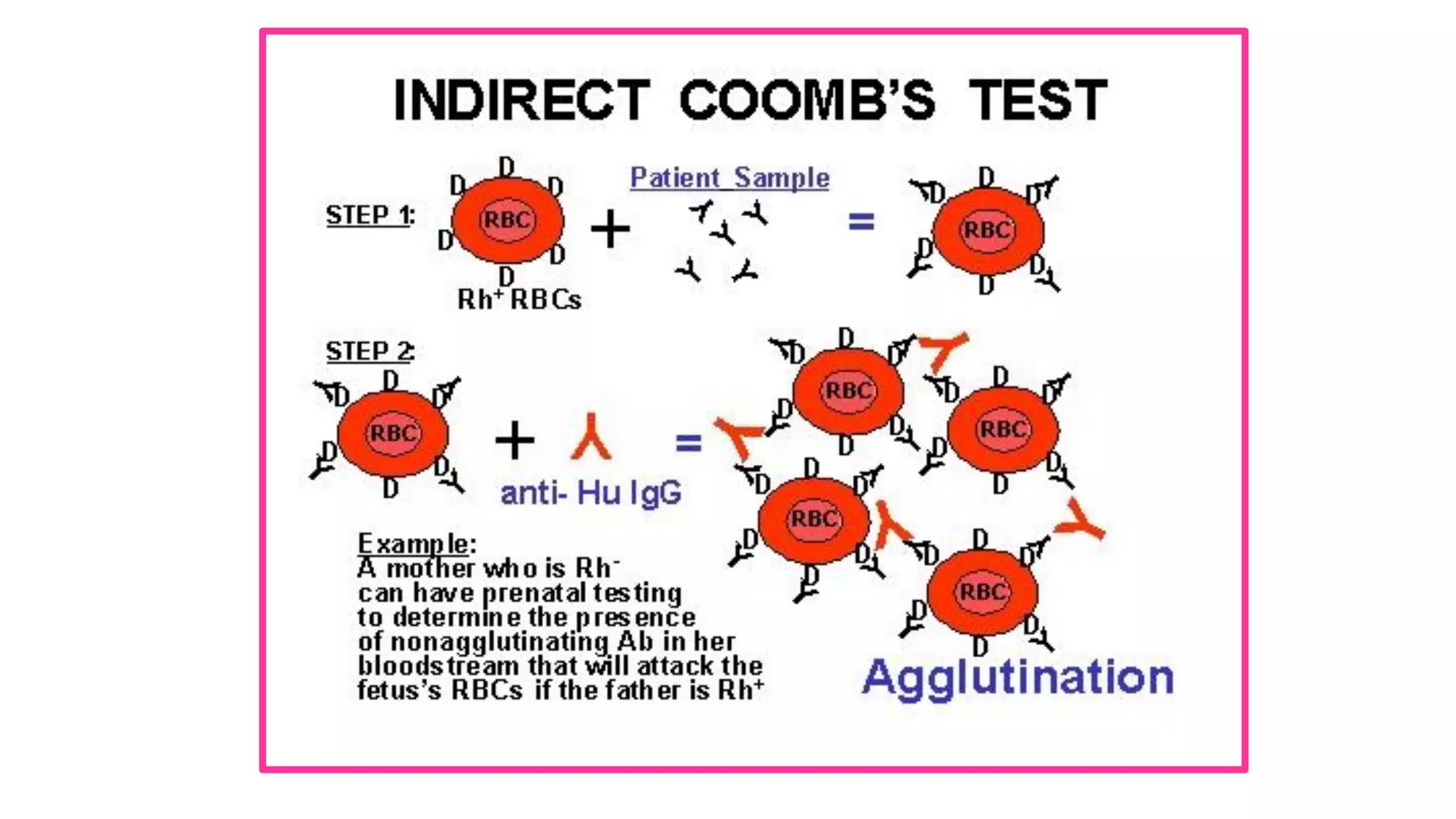 Fetal hemoglobin and rh incompatibility | PDF