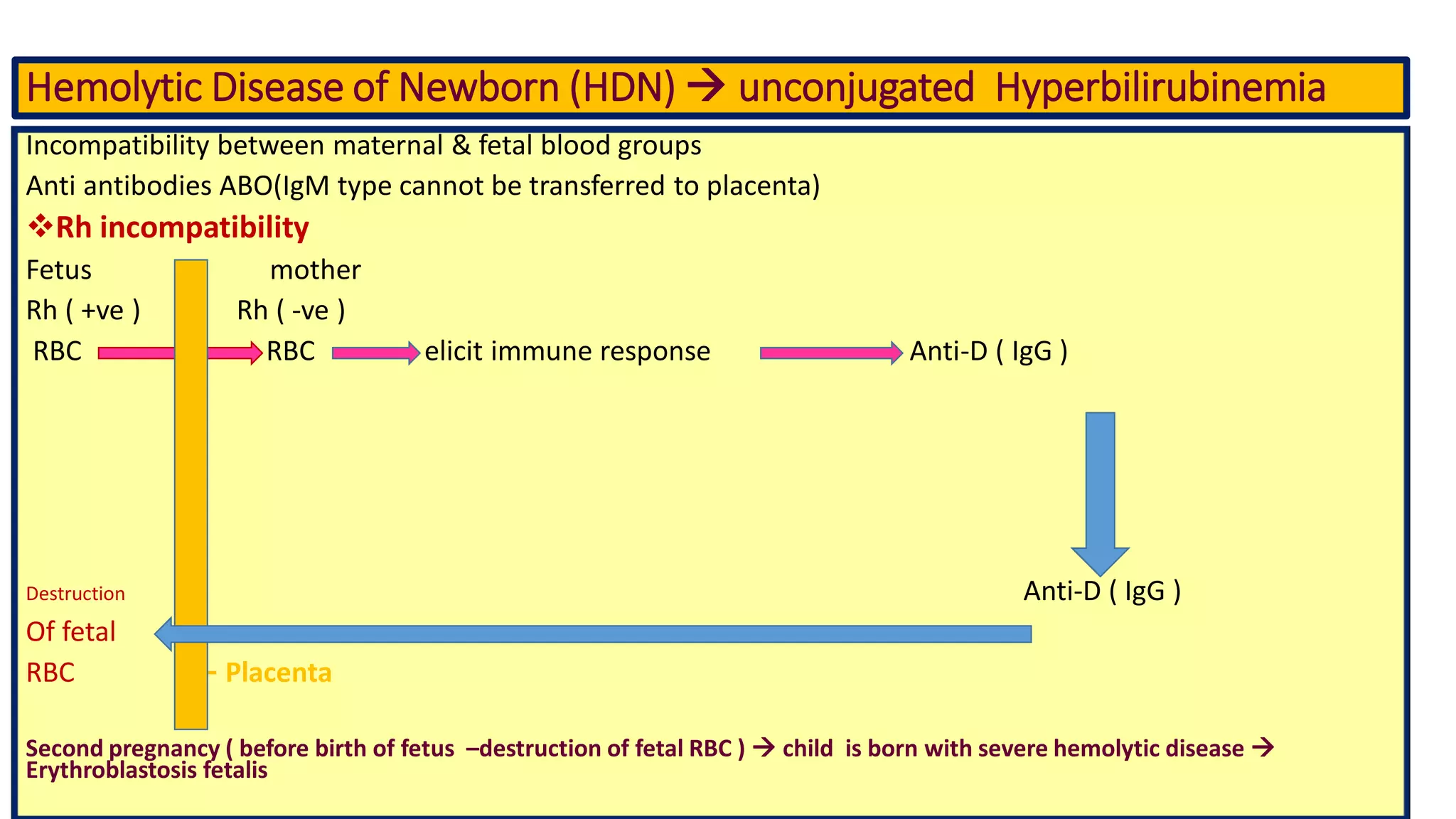 Fetal hemoglobin and rh incompatibility | PDF