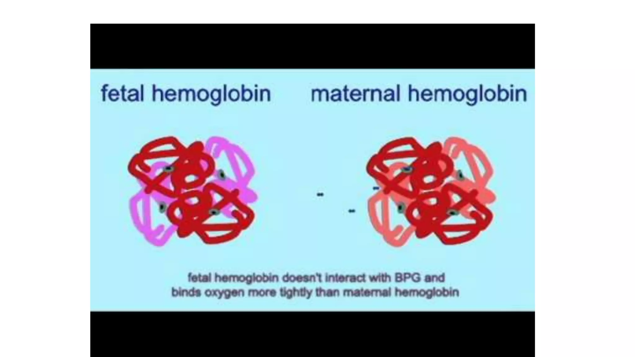 Fetal hemoglobin and rh incompatibility | PDF