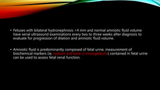 Fetal hydronephrosis | PPTX