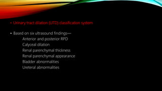 Fetal hydronephrosis | PPTX