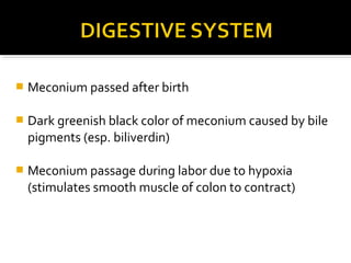 Fetal Physiology By Abdul Qahar | PPT