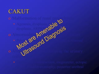 Antenatal diagnosis of Congenital Anomalies of Kidneys and Urinary ...