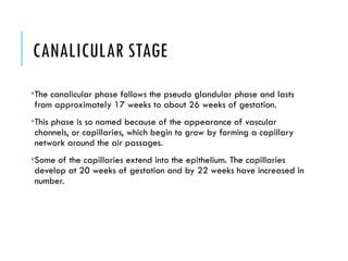 Fetal Lung Development and its applied aspects.pptx