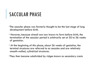 Fetal Lung Development and its applied aspects.pptx
