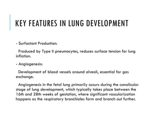 Fetal Lung Development and its applied aspects.pptx