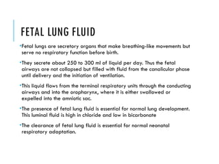 Fetal Lung Development and its applied aspects.pptx