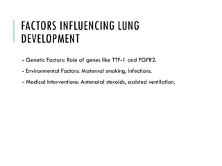 Fetal Lung Development and its applied aspects.pptx