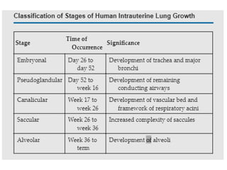 Fetal Lung Development and its applied aspects.pptx