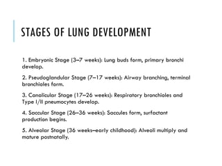 Fetal Lung Development and its applied aspects.pptx