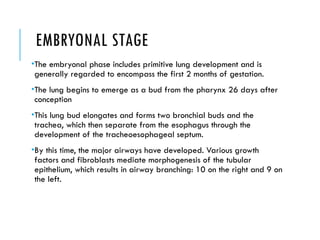 Fetal Lung Development and its applied aspects.pptx