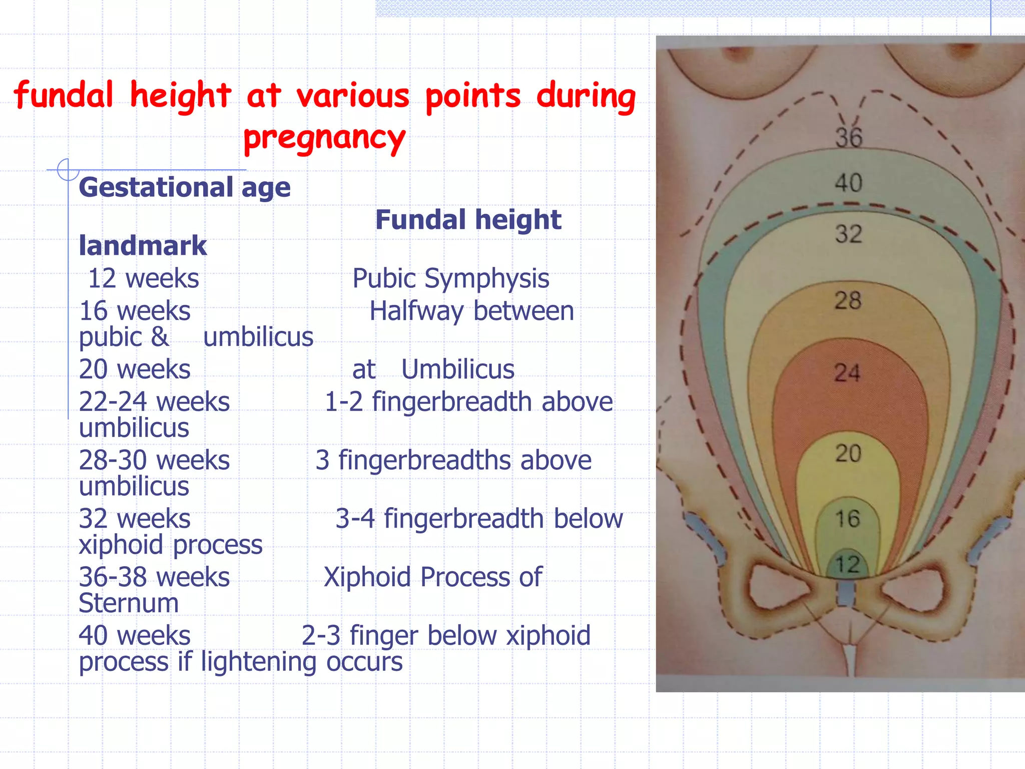 Fetal measures | PPTX