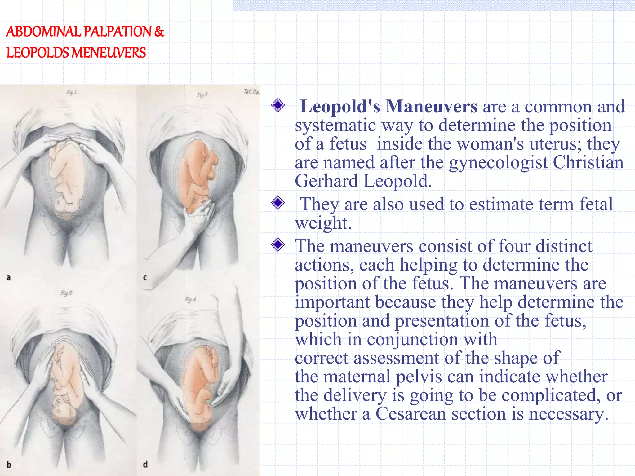Fetal measures | PPTX