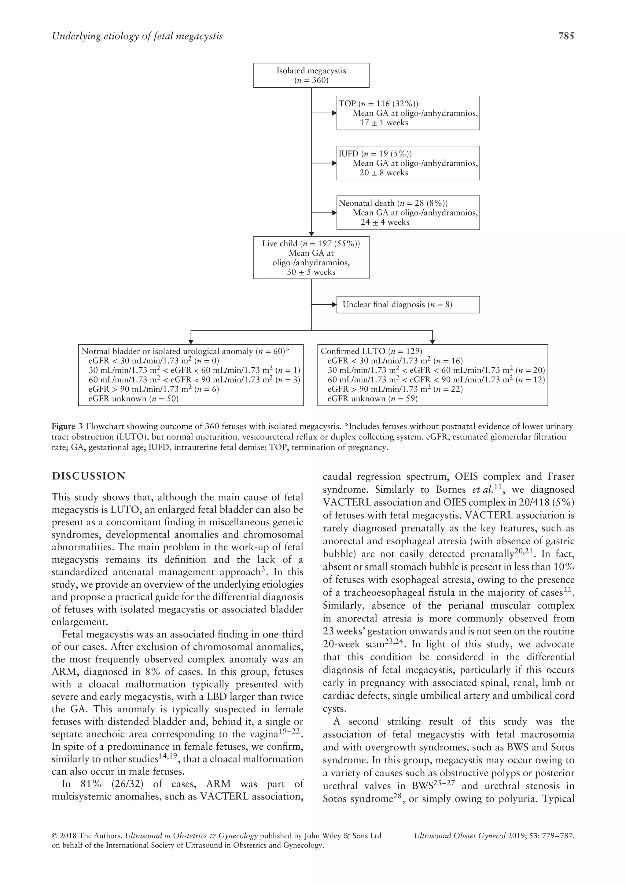 Fetal megacystis - more than luto - Bàng quang lớn ở thai nhi LUTO | PDF
