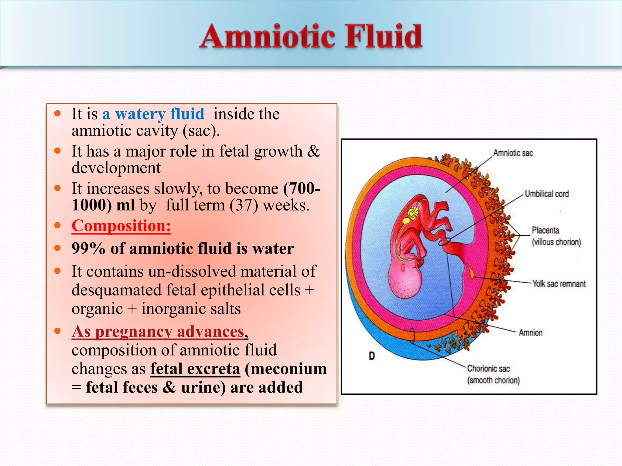 Fetal membranes | PPTX