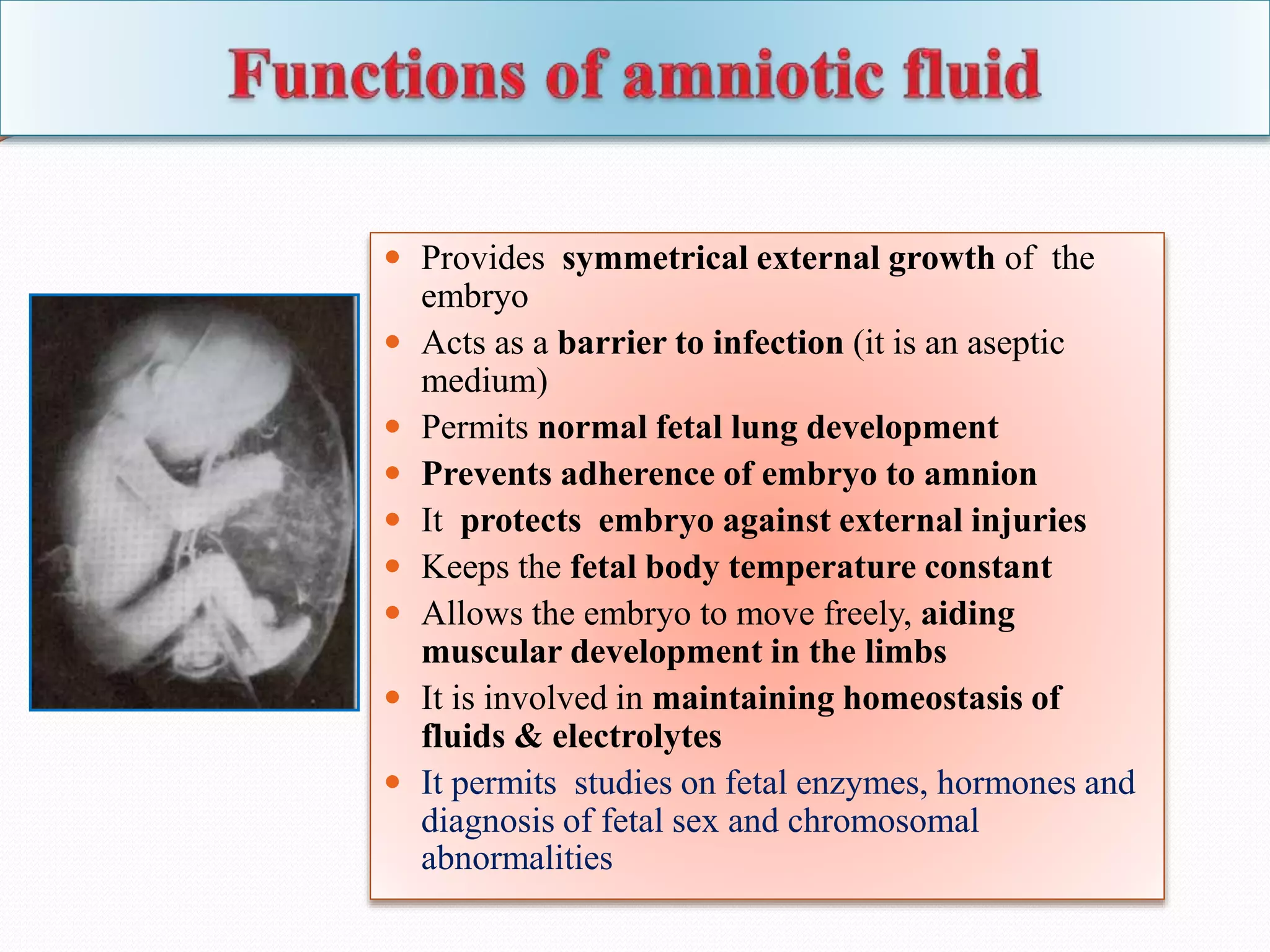 Fetal membranes | PPTX