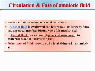 Fetal membranes | PPTX