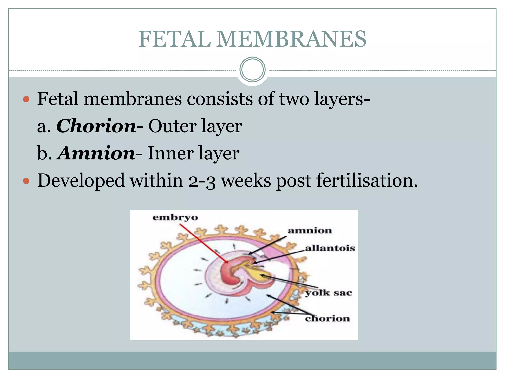 Fetal Membranes, Amniotic Cavity and Amniotic Fluid | PPTX