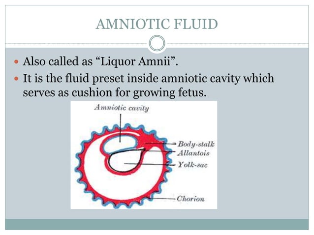 Fetal Membranes, Amniotic Cavity and Amniotic Fluid | PPTX