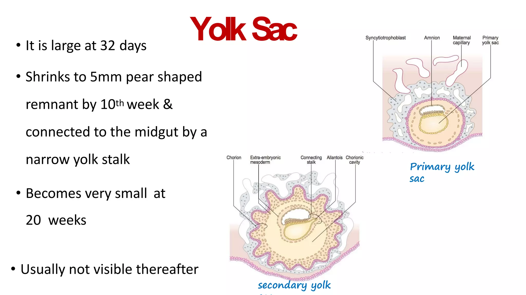 fetal membranes and placenta.pdf