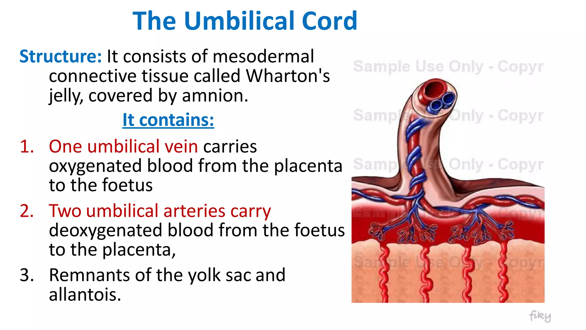 fetal membranes and placenta.pdf