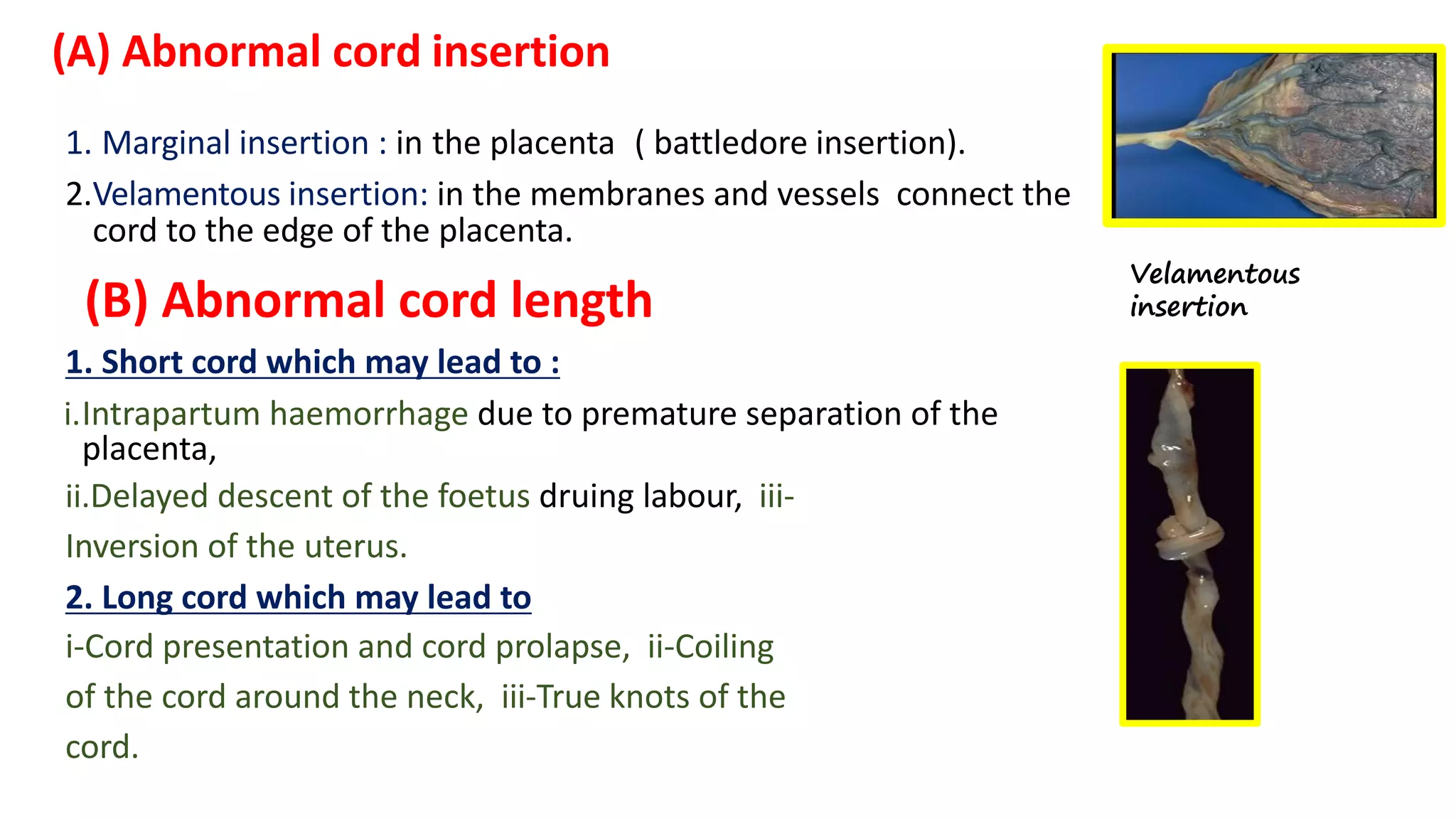 fetal membranes and placenta.pdf