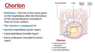 fetal membranes and placenta.pdf