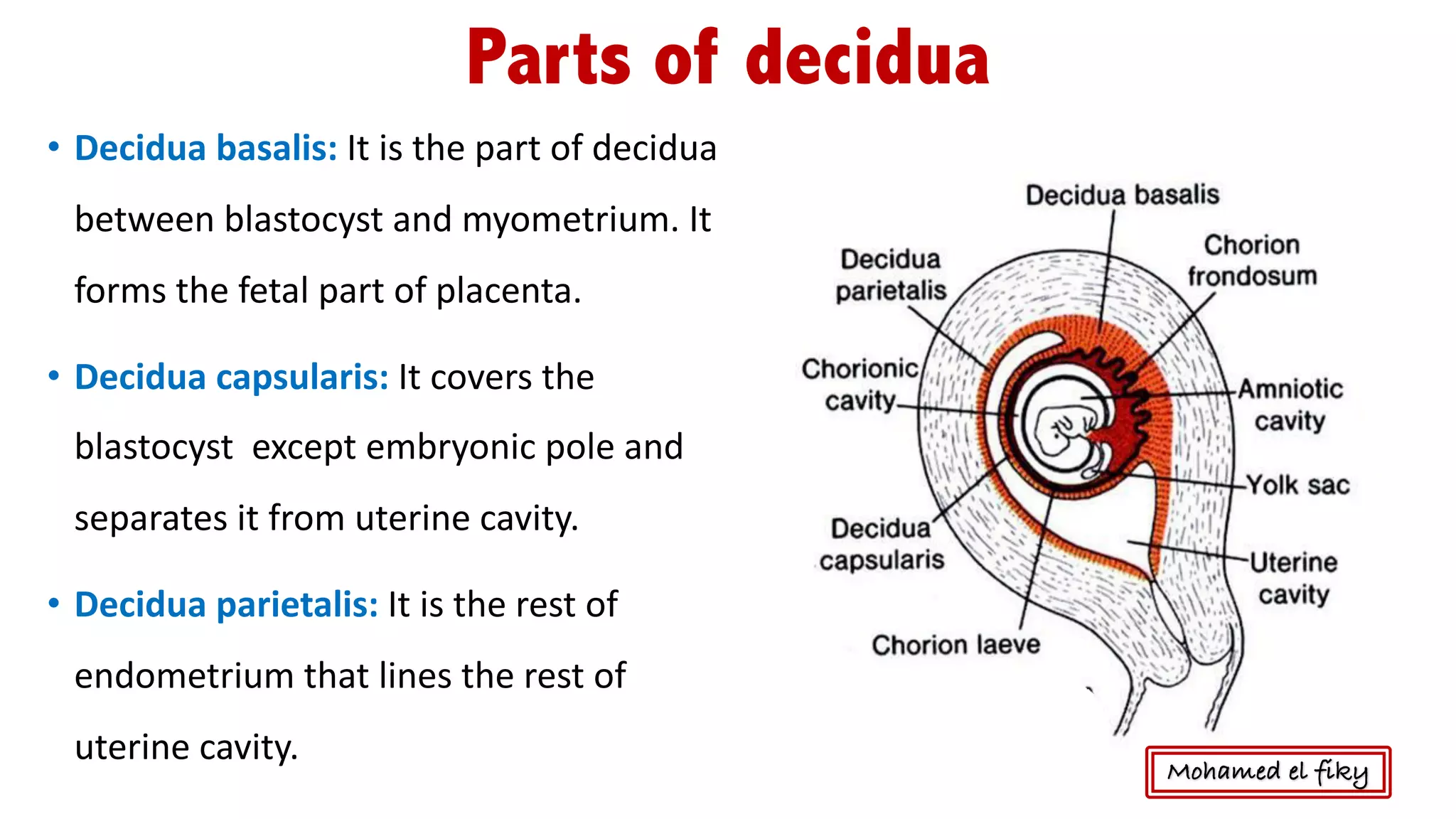 Fetal membranes , placenta and twins | PDF
