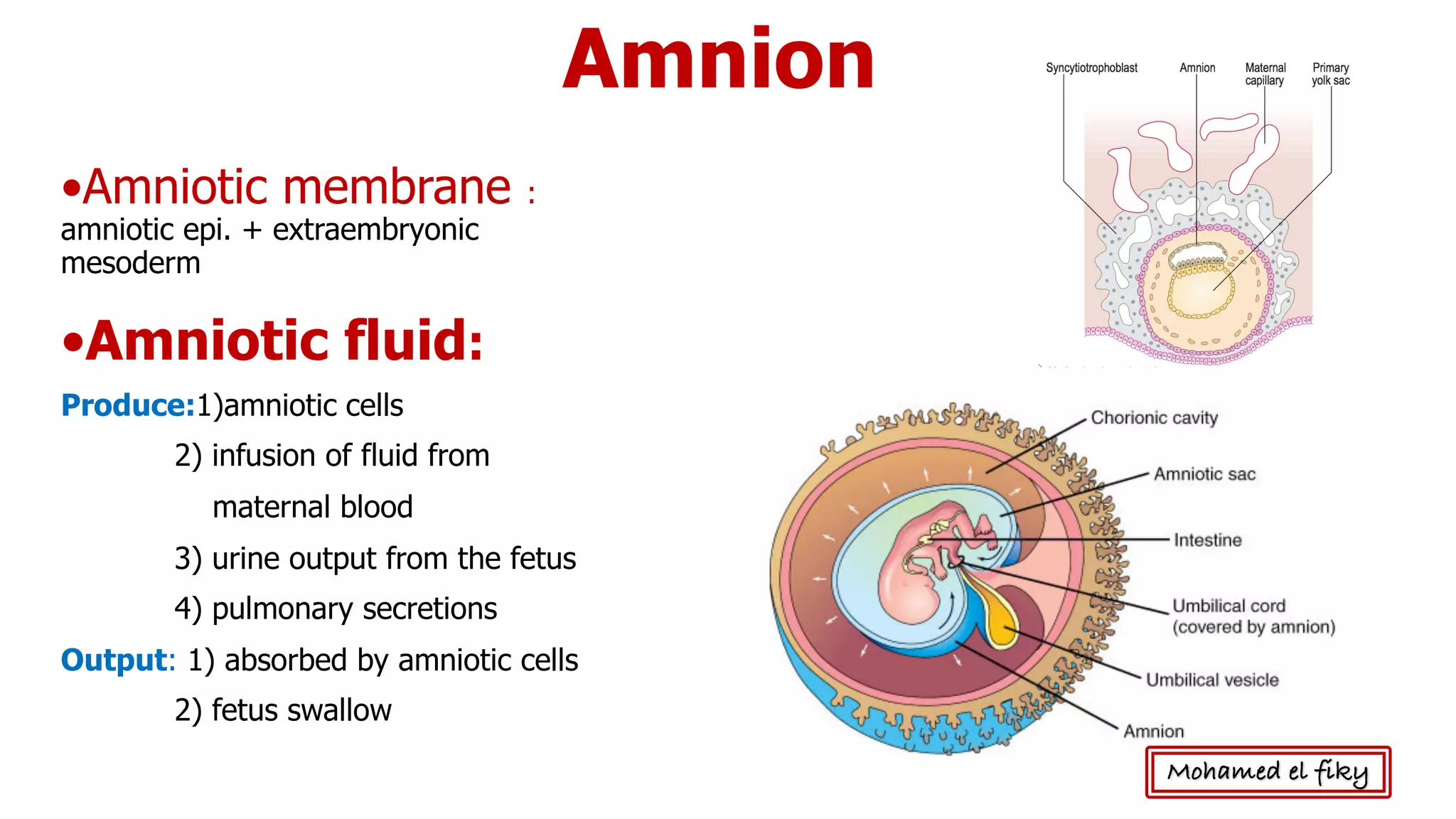 Fetal membranes , placenta and twins | PDF
