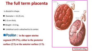 Fetal membranes , placenta and twins | PDF