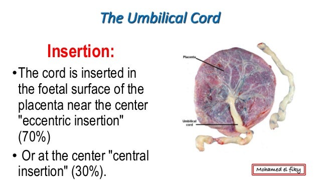 Fetal membranes , placenta and twins