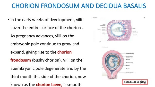 Fetal membranes , placenta and twins