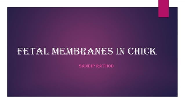 Fetal membranes in chick | PDF