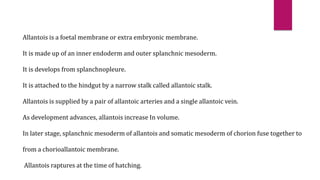 Fetal membranes in chick | PDF