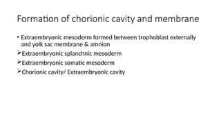 FETAL MEMBRANE,UMBILICAL CORD AND PLACENTAL.pptx