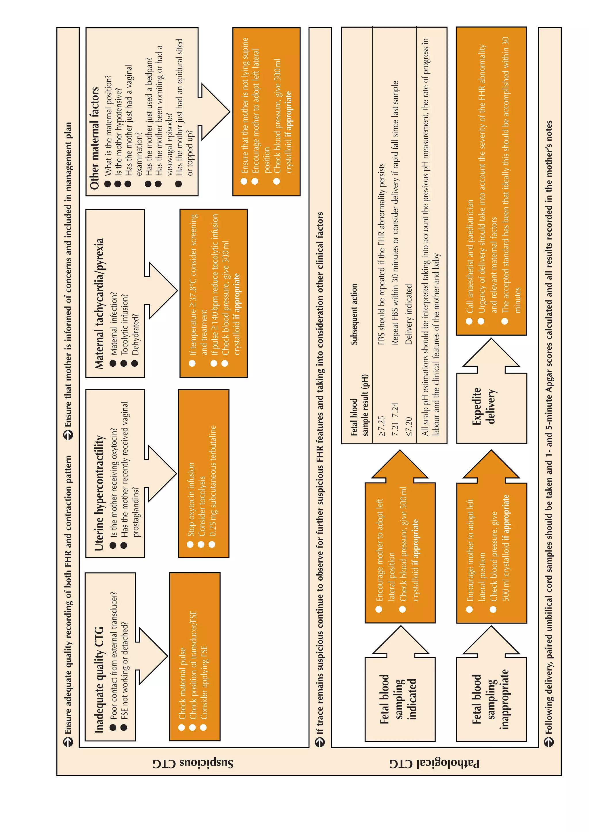 Fetal monitoring rcog | PDF