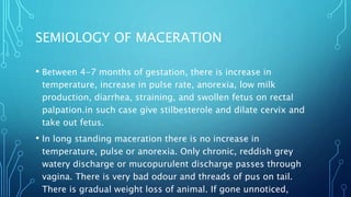 Fetal mummification and Maceration | PPTX