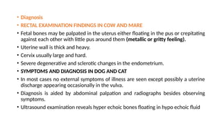 fetal mummification and maceration bvsc.pptx