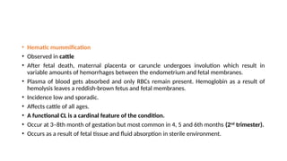 fetal mummification and maceration bvsc.pptx