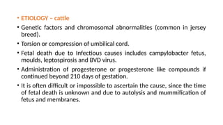 fetal mummification and maceration bvsc.pptx