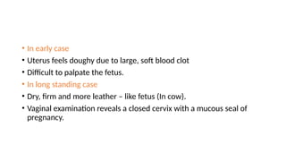 fetal mummification and maceration bvsc.pptx