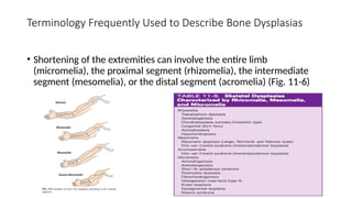 Fetal Musculoskeletal System. ASWIN.pptx