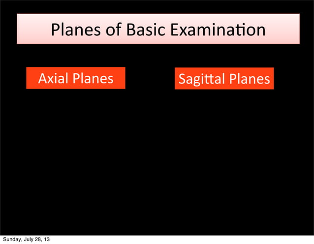 Fetal Neurosonogram | PDF